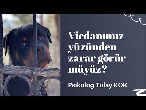 Vicdan ve kurban durumuna düşmek arasındaki ilişki #vicdan