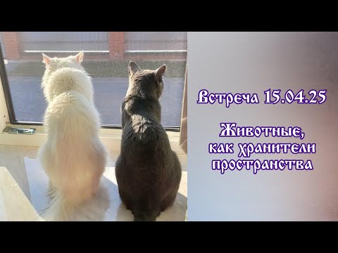Встреча 15.04.25. Животные, как хранители пространства