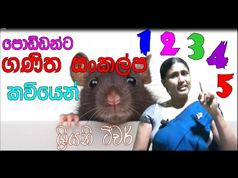 perapasal padam|sinhala counting|kathandara|pre school lessons ...