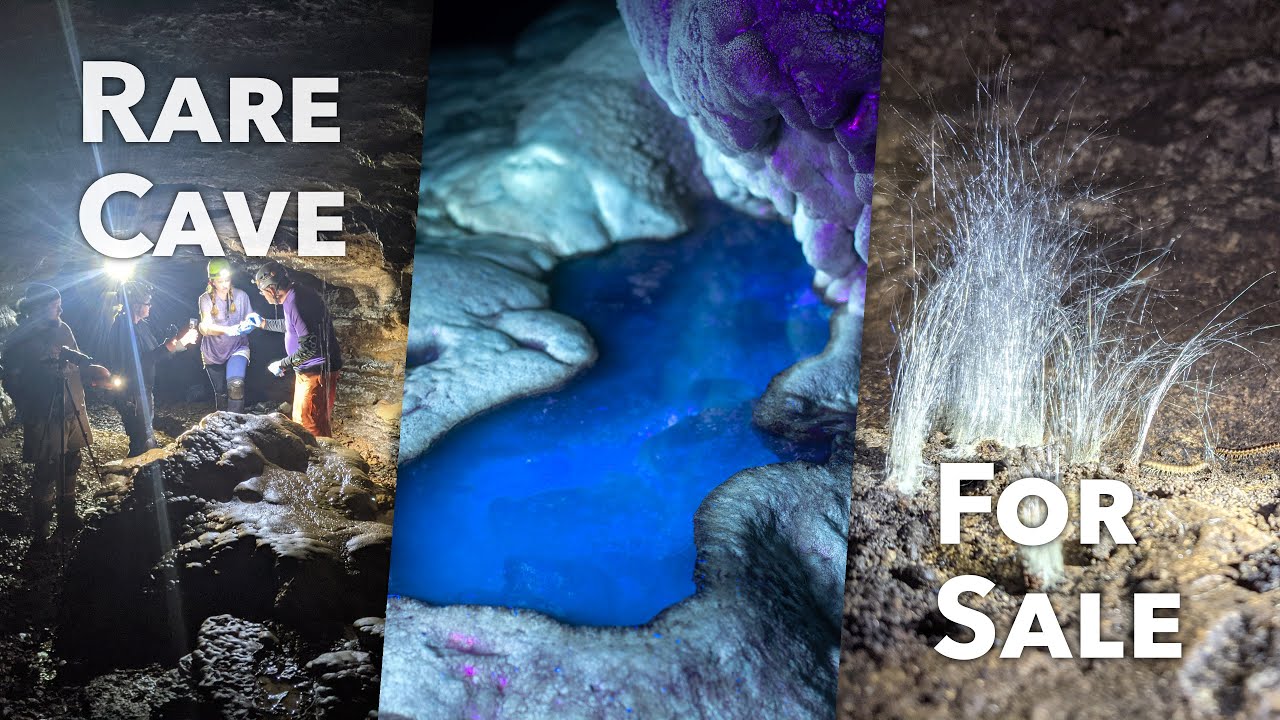 Rare Cave Property | Caving | Blue Goo | Scientist | Explored | Creek ...