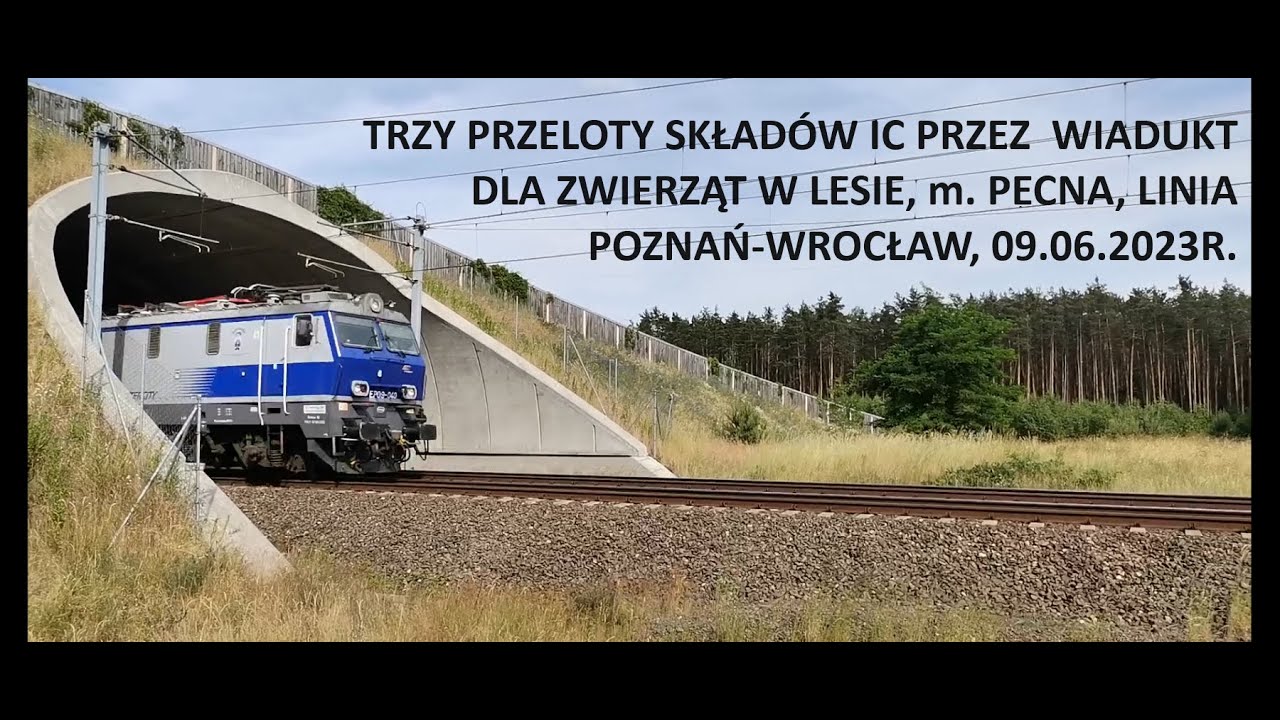 Pecna, linia Poznań-Wrocław, wiadukt dla zwierząt, przeloty IC: 2xEP09 ...