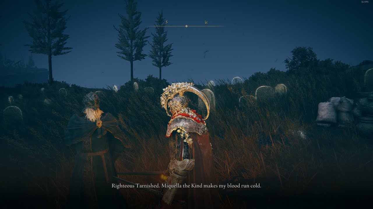 Elden Stream (Pure copium exploration) - YouTube