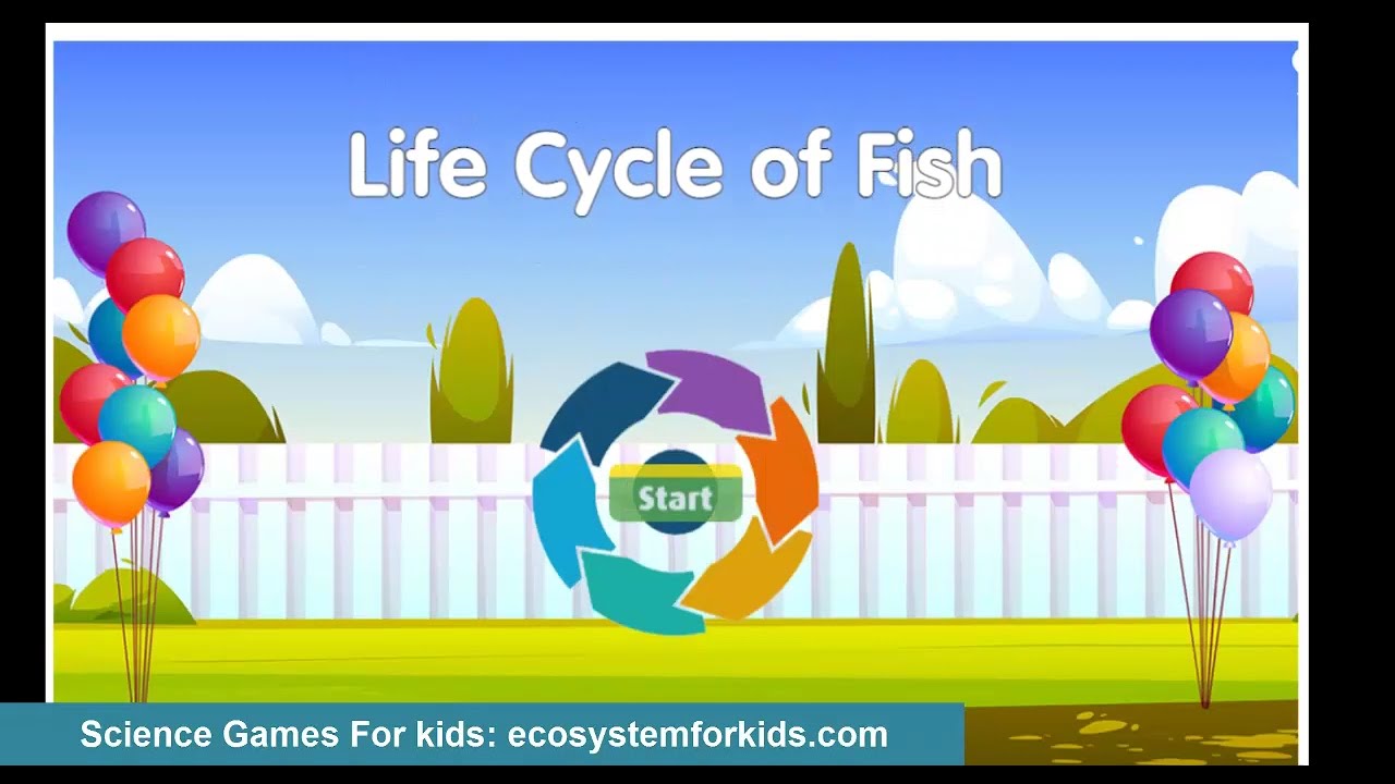 Fish Life Cycle Worksheet For Kids