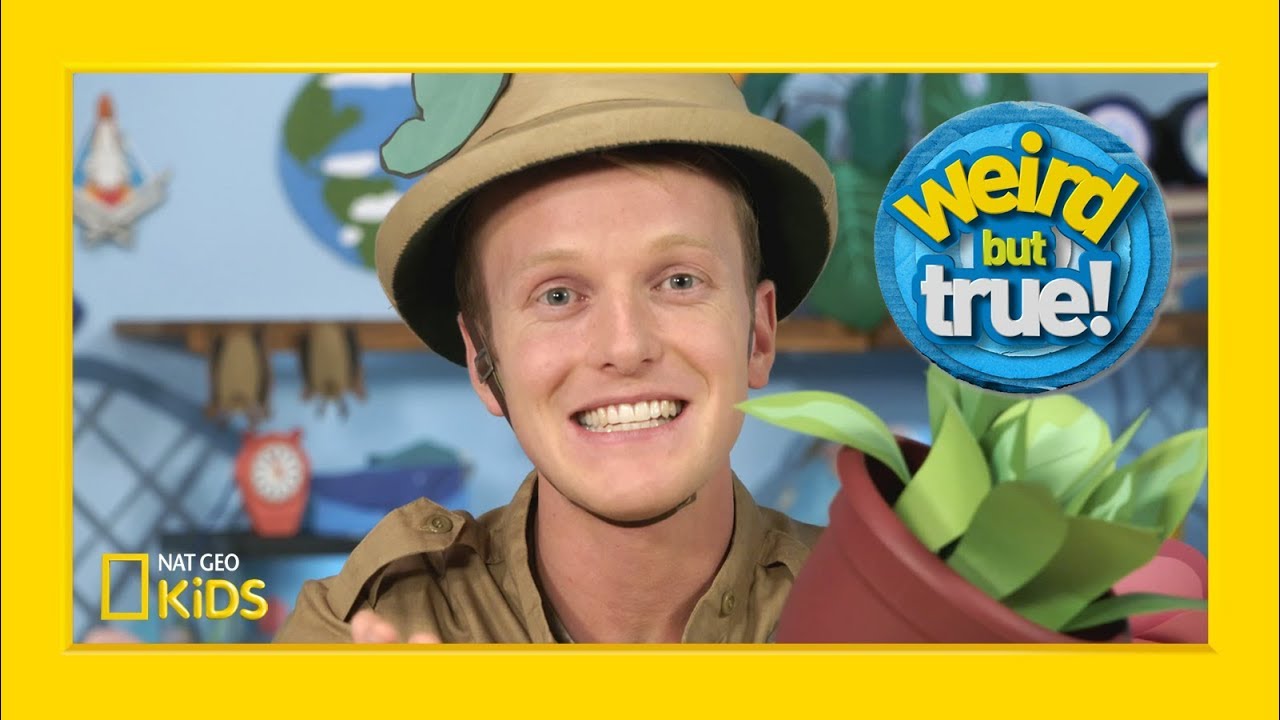 Behind the Scenes: Extreme Botany Episode From “Weird But True ...
