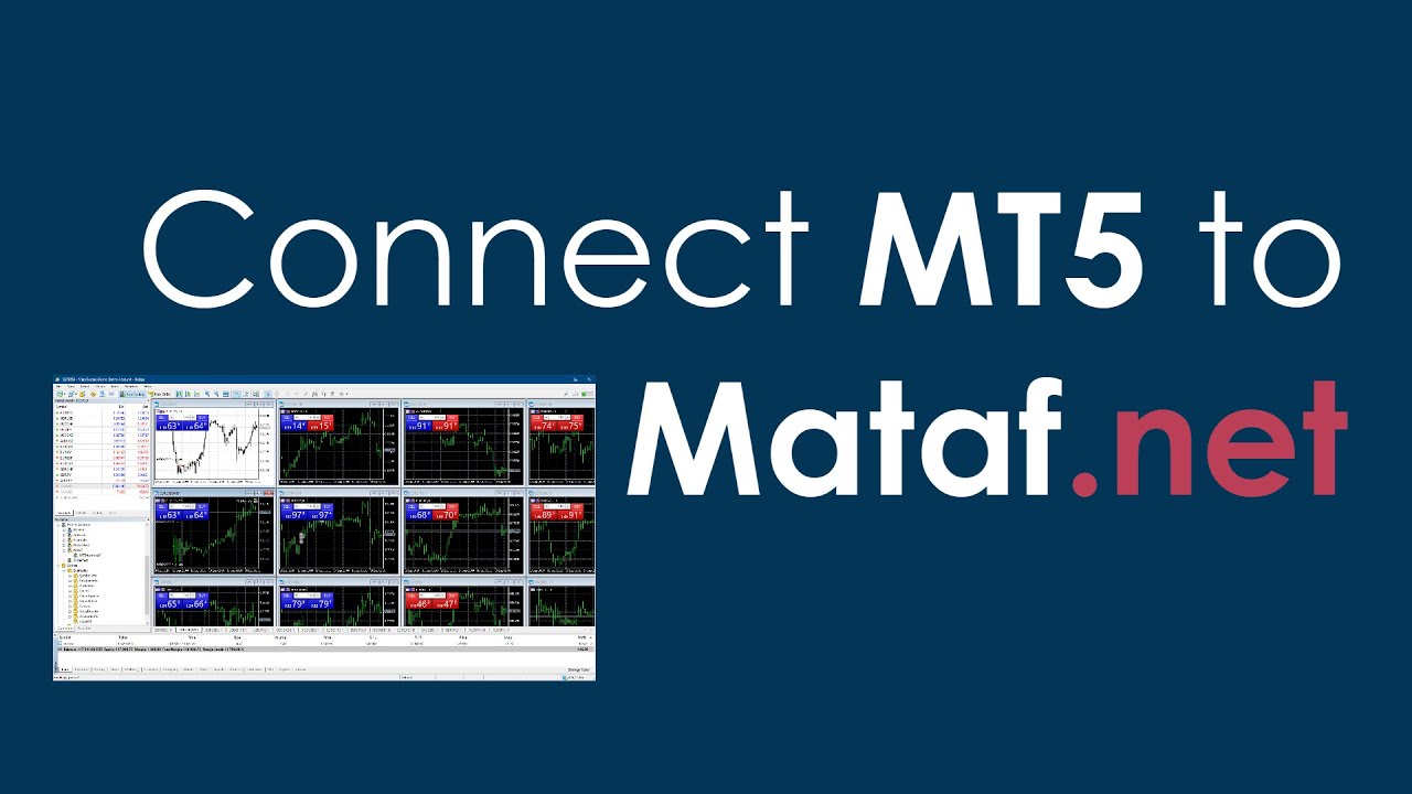 Connect Metatrader 5 to Mataf.net - YouTube