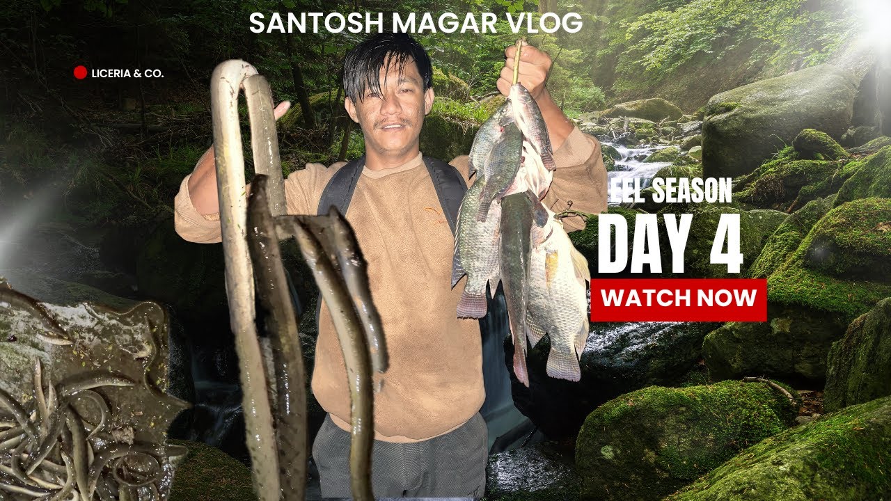 EEL SEASON KO ENDING TERA 😱 || CATCH & COOK || - YouTube