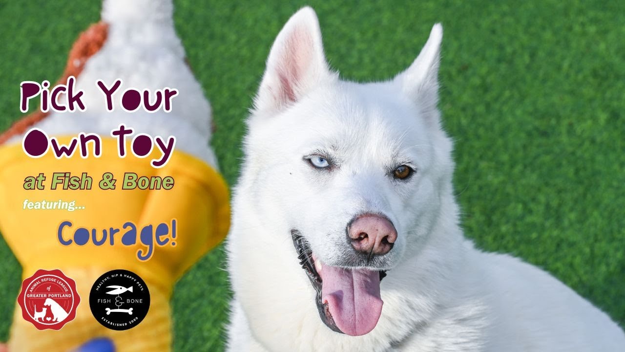 PYOT at Fish and Bone Featuring Courage - YouTube