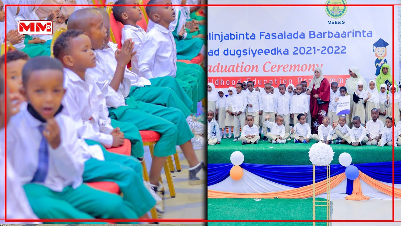 Hay'adda Pharo Foundation oo Munaasibad Qali-jabina u samaysay Ardayda ...