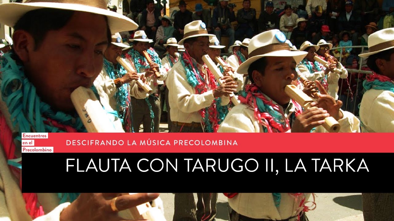 Descifrando la música precolombino: Flauta con tarugo II, la tarka ...