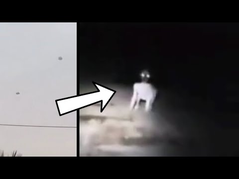 A Japanese Man Claimed to Have Seen a UFO Crash! A Strange Creature Seen