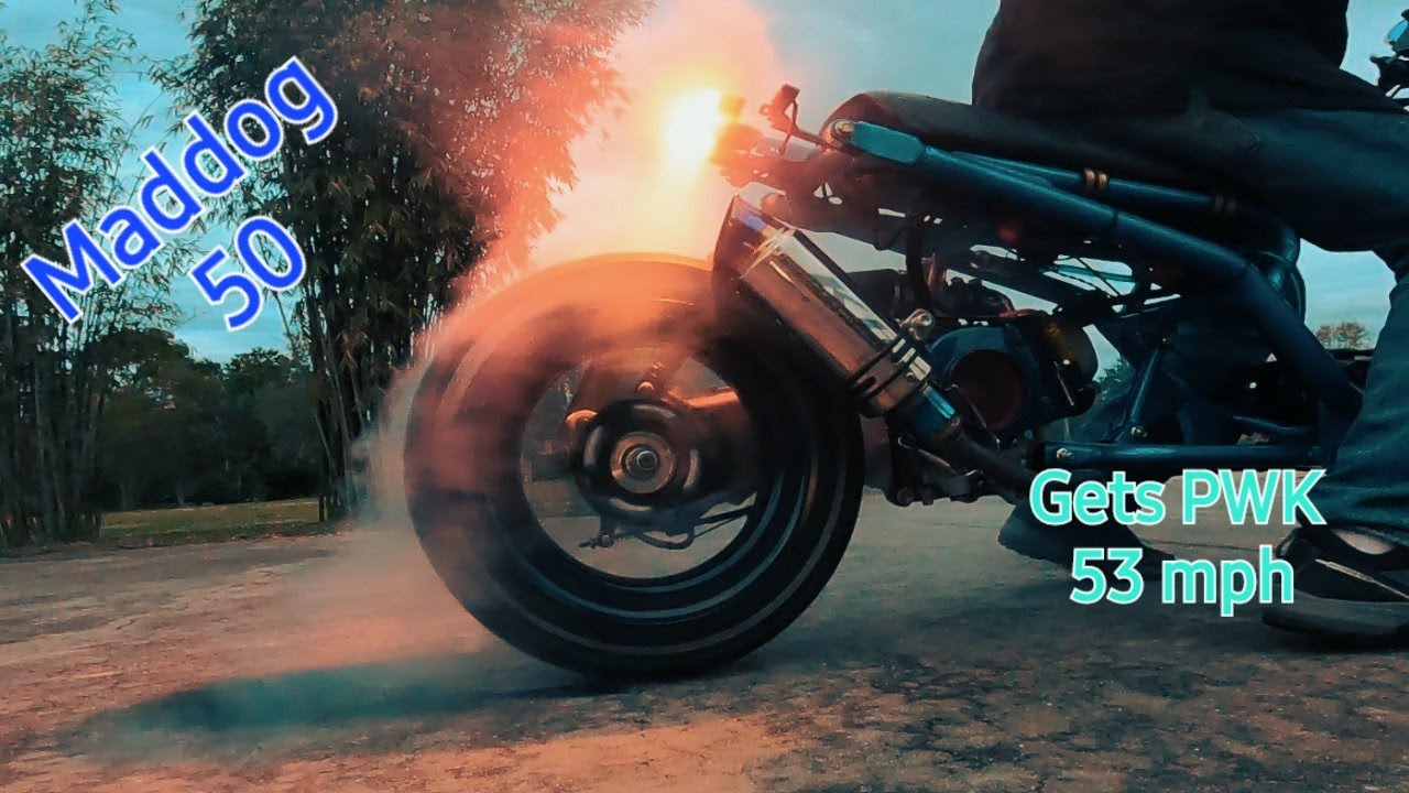 Maddog 50 Gets 21mm PWK Flat slide Carburetor. 4 MPH Faster! 139QMB ...
