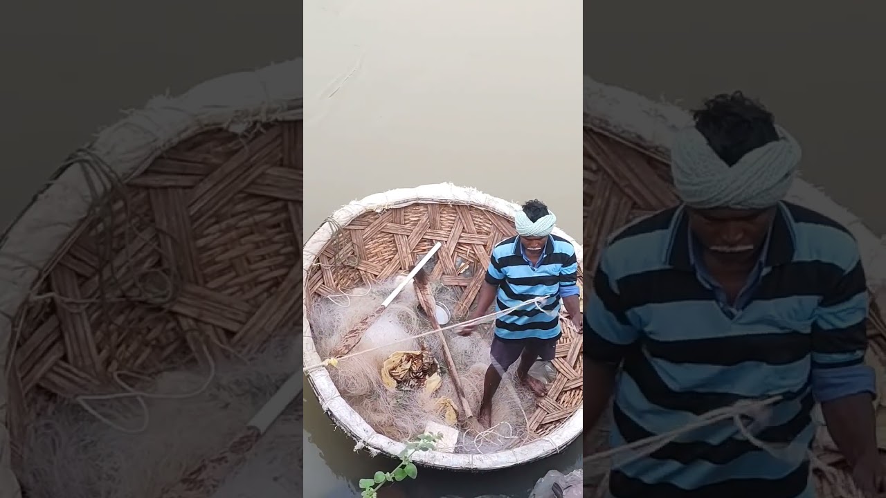 9 kg bocha fish in fisherman net - YouTube