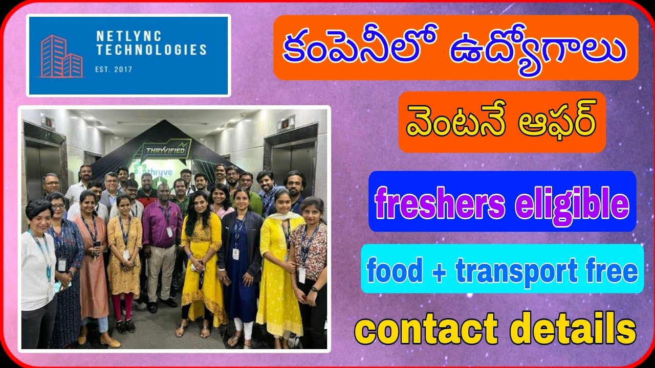 netlync technology company recruitment for freshers full information ...