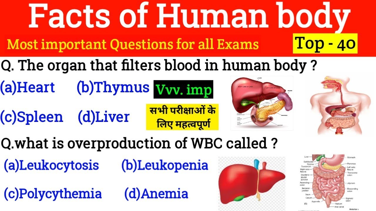 science important question | Human body | science gk tricks |general ...