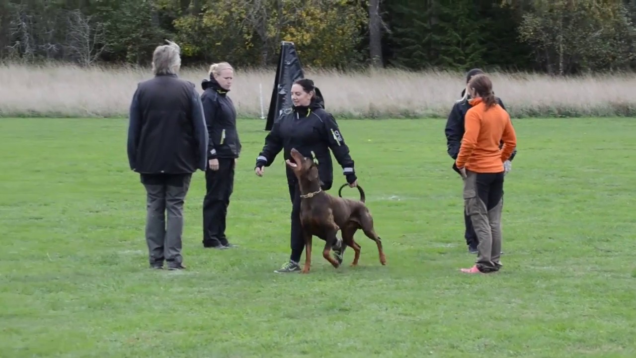 Cape Secure Conqueror - YouTube