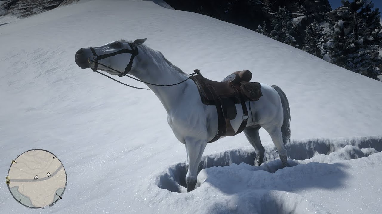 Rdr2 Best Horse Setup at Johnathan Willette blog