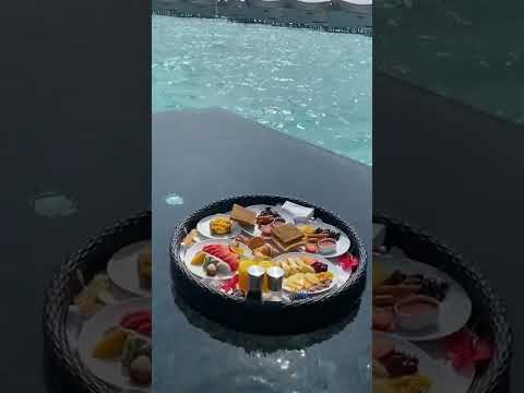 Maldivlerde konakladığımız otel, harika kahvaltı sonrasında mavilikler ve yunusları ziyaret.