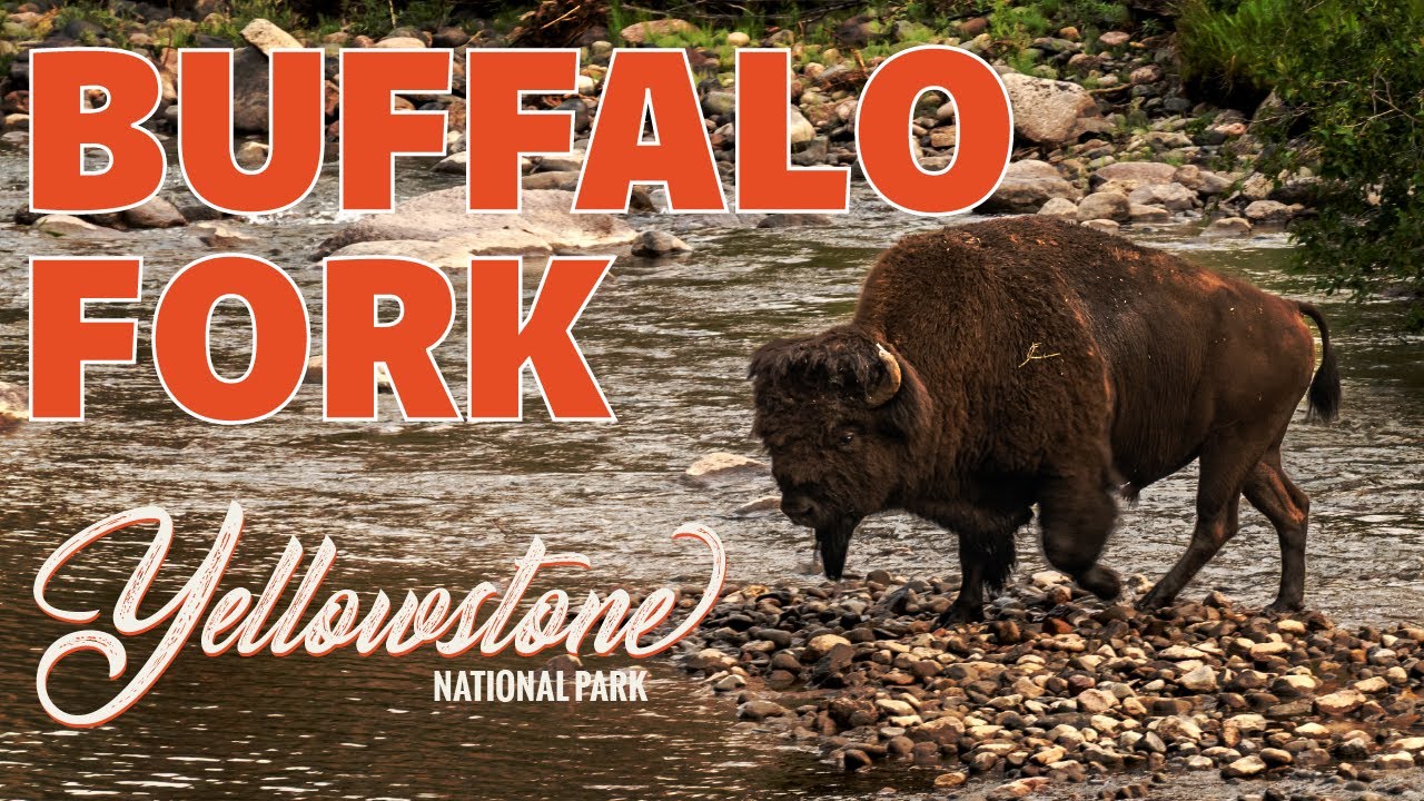 Day Hiking Buffalo Fork Trail - YouTube