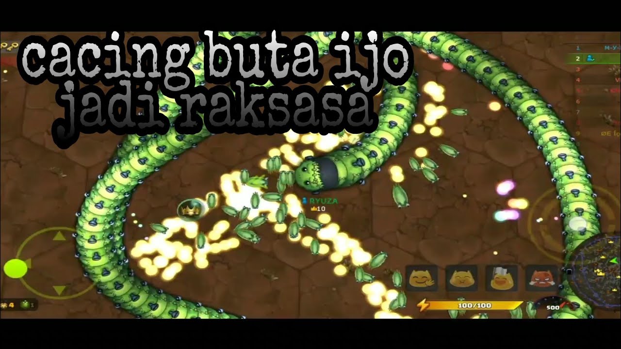 Cacing alaska buta ijo - YouTube