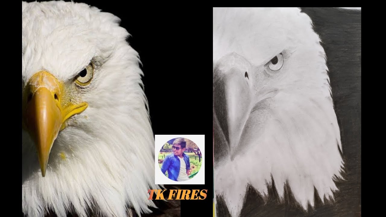 Shading of a Eagle /#shading /#tkfires - YouTube