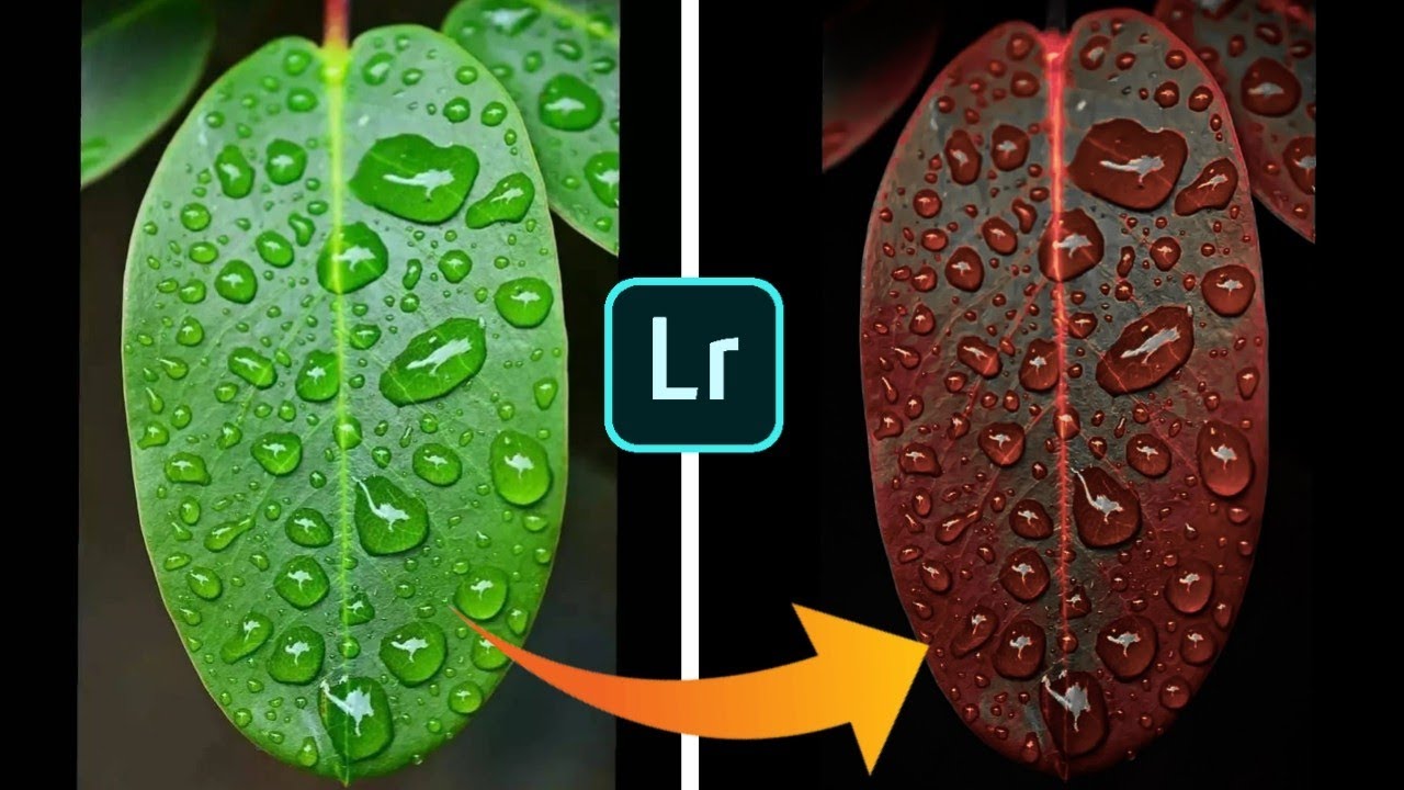 Red tone presets for lightroom mobile//Red tone photo editing tutorial ...