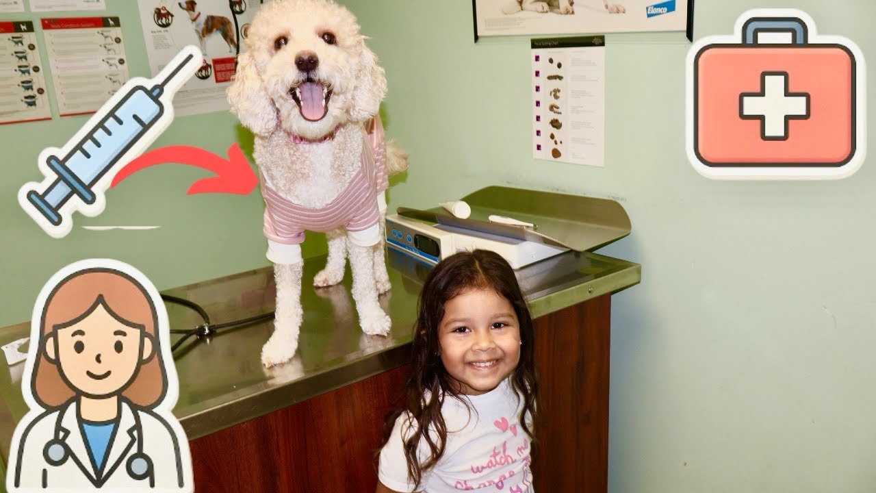 Taking Our Dog Elsa to the Vet 🐶👧 - YouTube