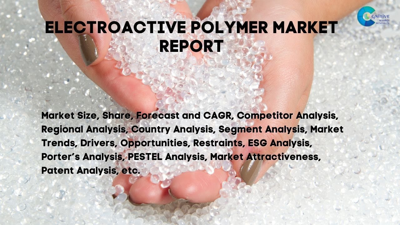 Electroactive Polymer Market Report 2024 - YouTube