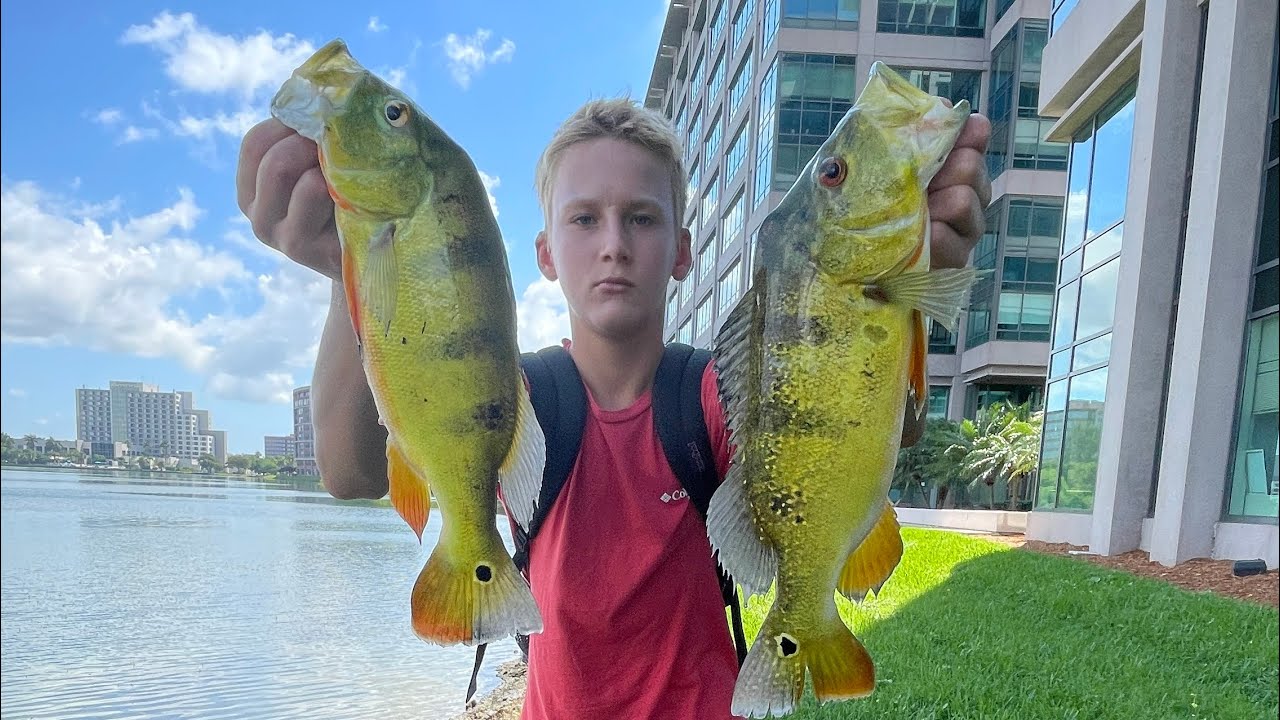 Miami peacock fishing (crystal clear water) - YouTube