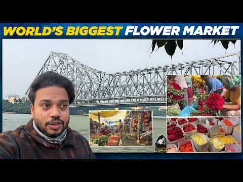 Kolkata Flower Market Full Tour 2025 | Mullick Ghat Flower Market | Nawabi Thaat