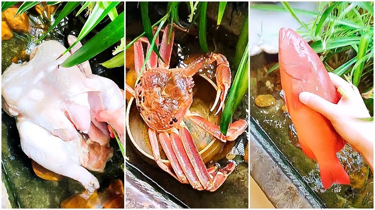 The magic fish tank and the kind song P1 🦐🦀🐟 Tik Tok China Chinese Food ...