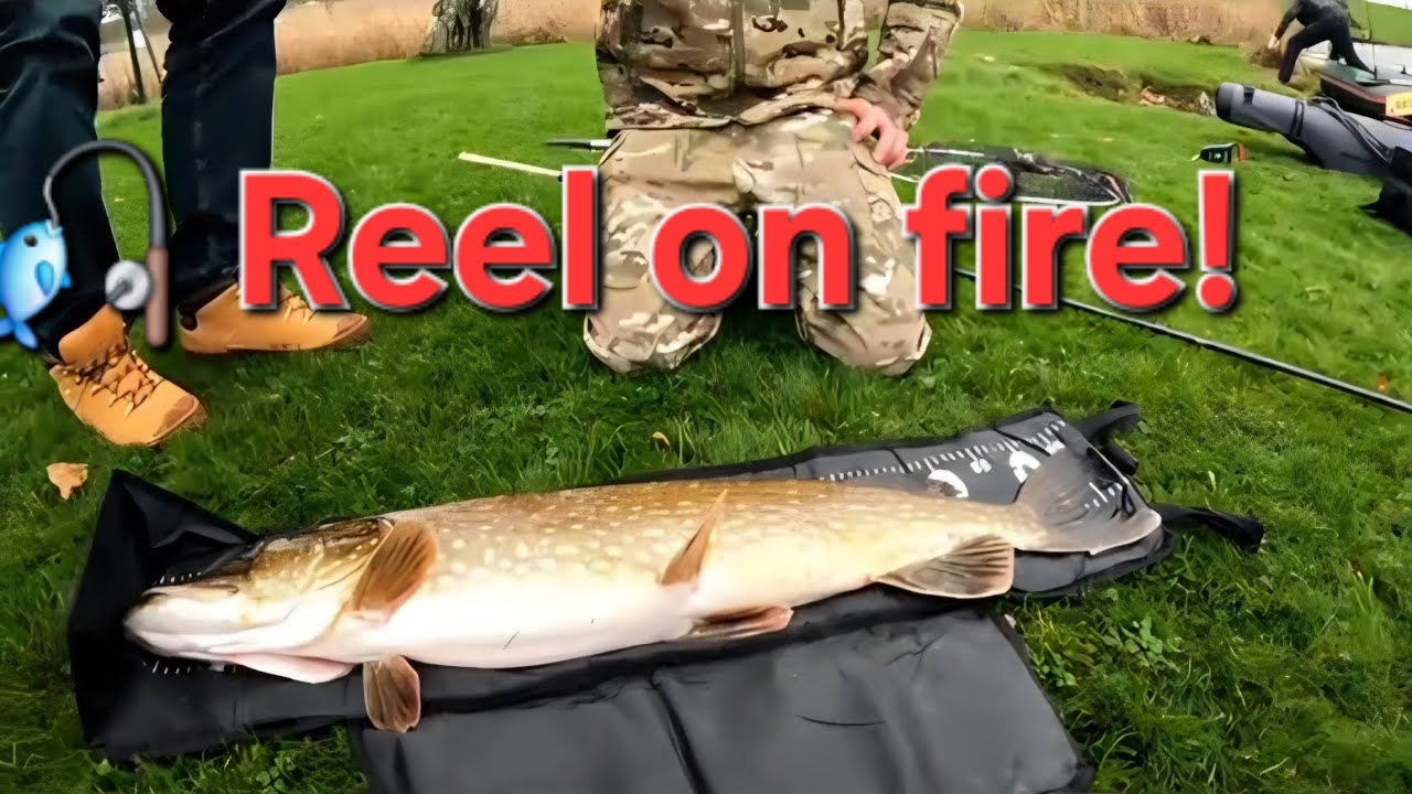 Hooked a BEAST! Massive Pike on Deadbait - YouTube
