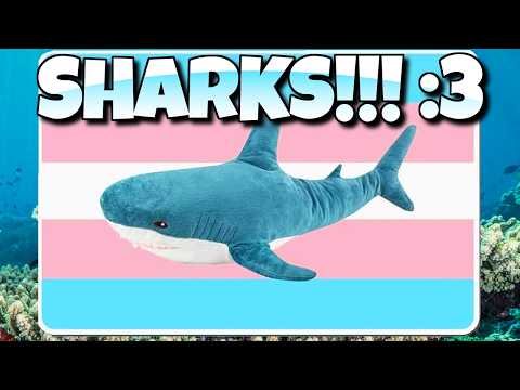 Interviewing My Roommate About Being Trans