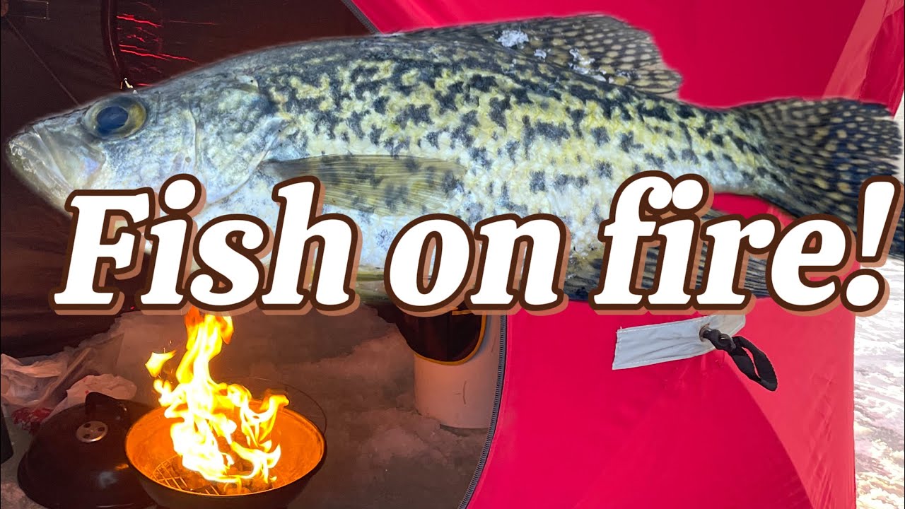 Fish on fire on Shawano Lake Wisconsin !! 2-18-2024 #outdoors # ...
