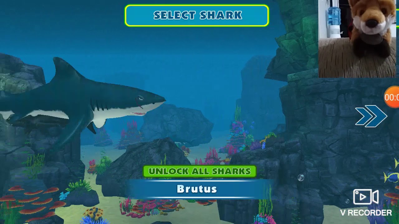 Gameplay shark shark - YouTube