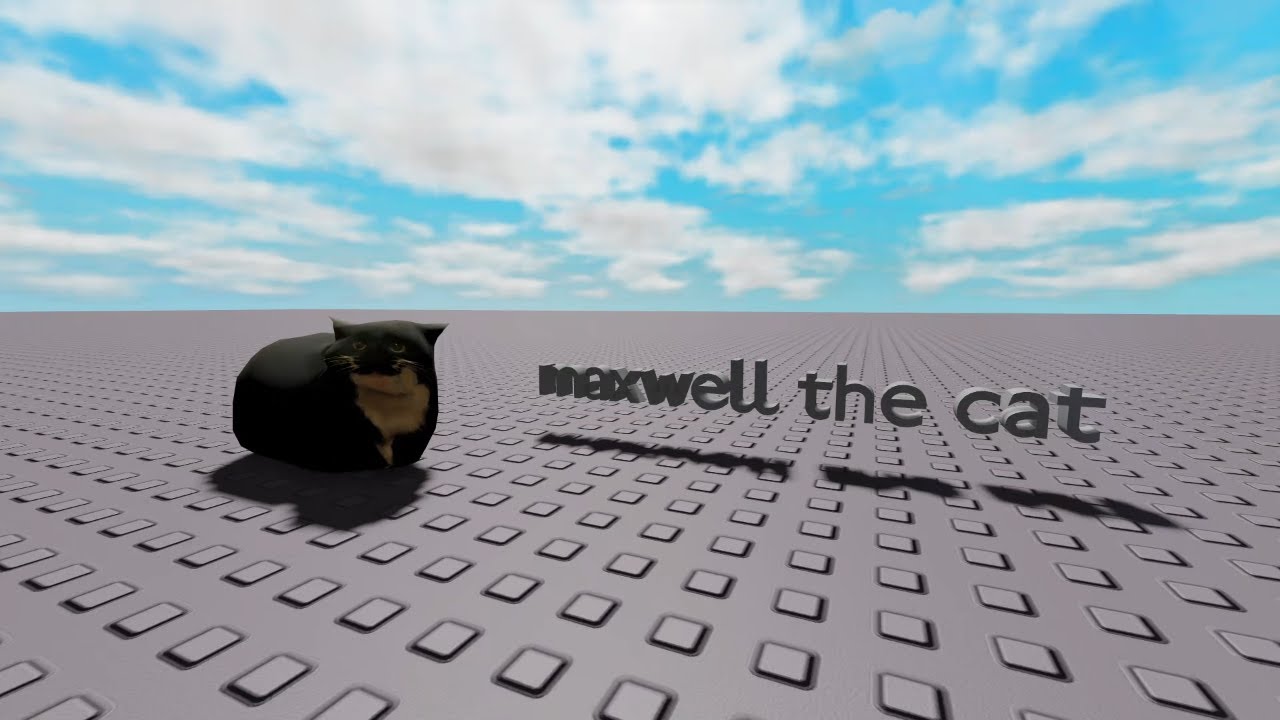 maxwell the cat - YouTube