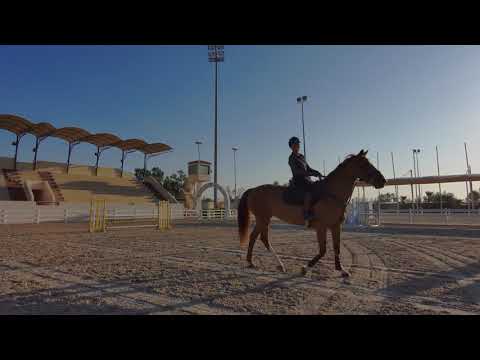 Legendary Equestrian / Nadia Al-Mutawa - YouTube