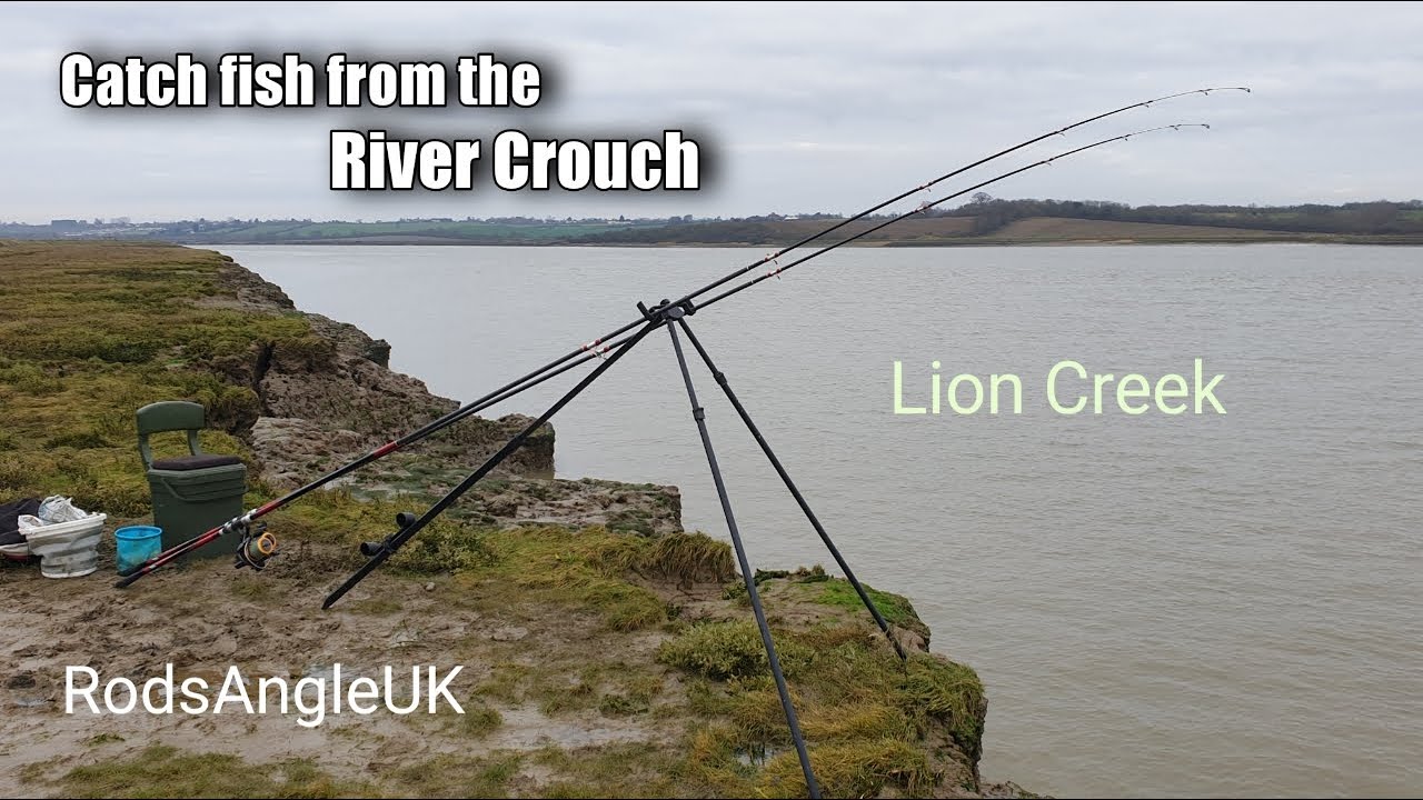 Catch Fish from the River Crouch: LION CREEK - YouTube
