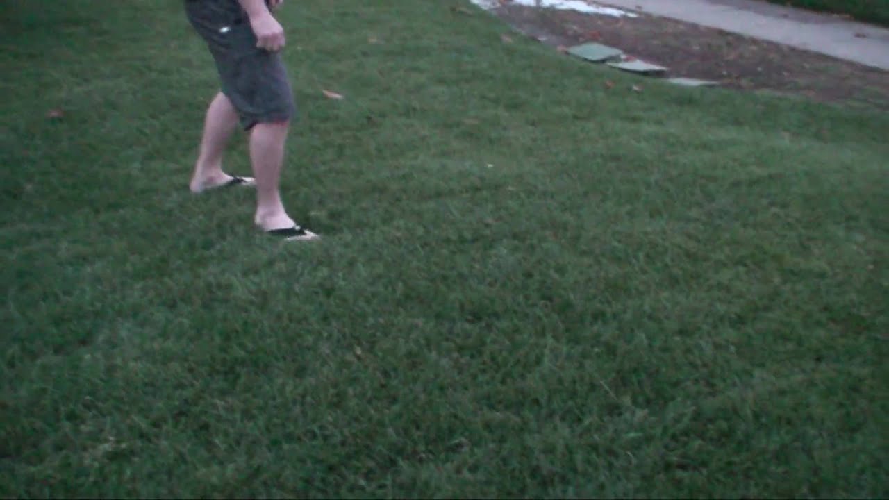 Sponge Grass #1 - YouTube