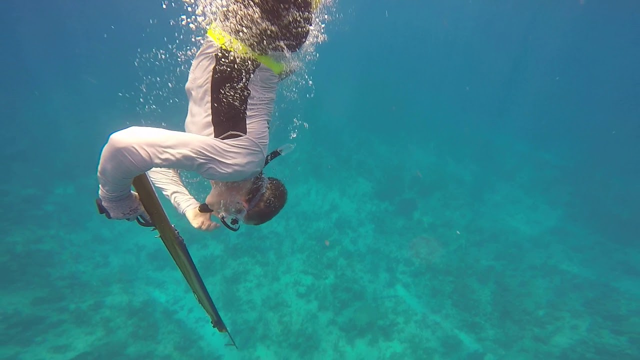 Barracuda Shot - Belize - YouTube