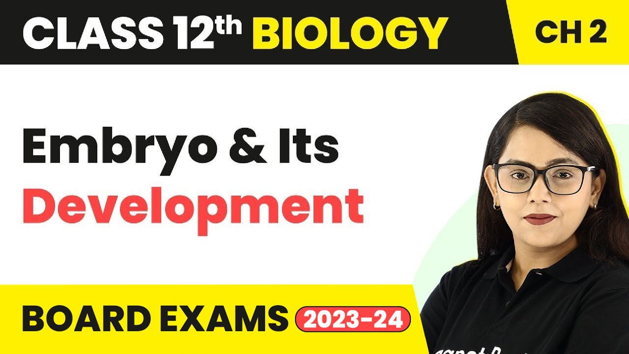 Class 12 Biology Ch 2 | Embryo & Its Development- Sexual Reproduction ...