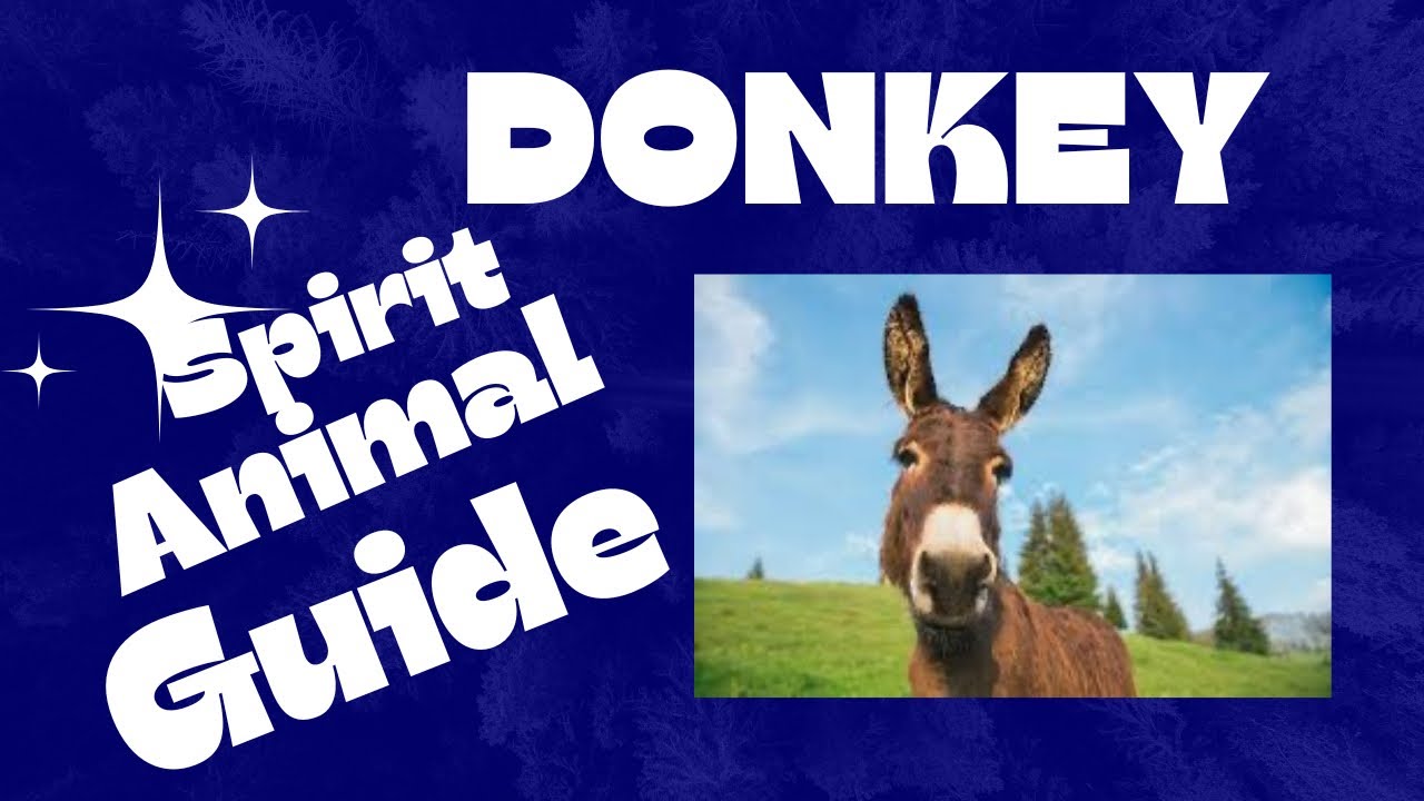 Unveiling The Spiritual Significance: DonKEY Spirit Guide - YouTube