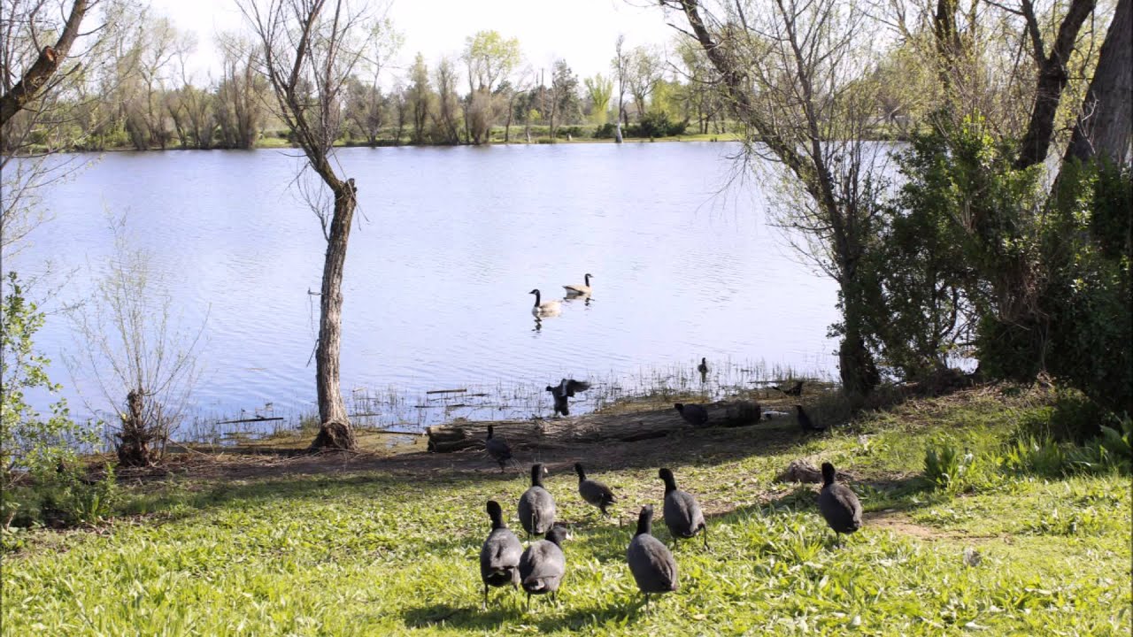 Mather lake - YouTube