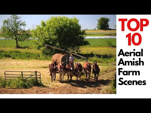 Amish Farming Methods