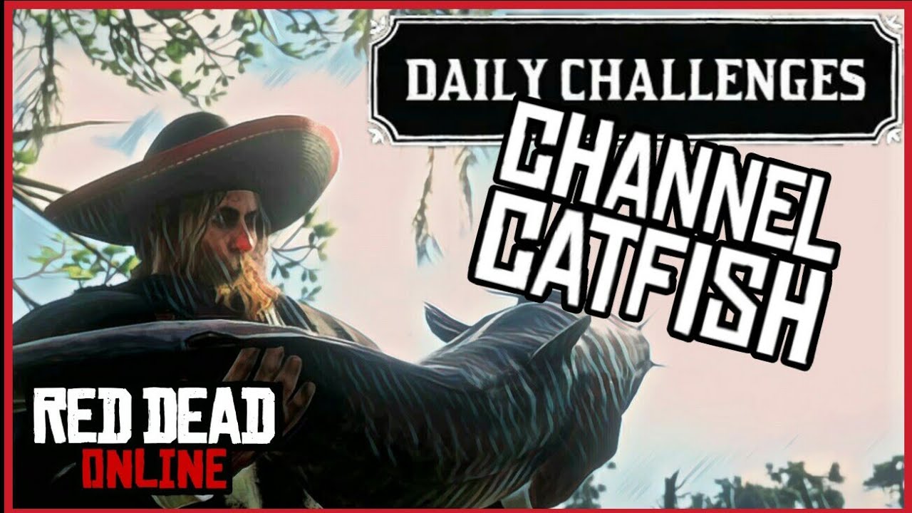 Daily Challenges - 1/1 Channel Catfish Caught I RDR2 Online [Channel ...