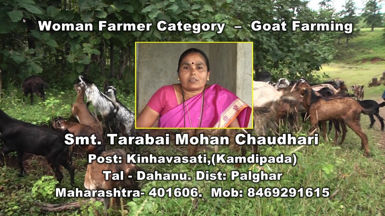 WOMAN FARMER CATEGORY GOAT FARMING TARA CHAUDHARY MAHARASHTRA - YouTube