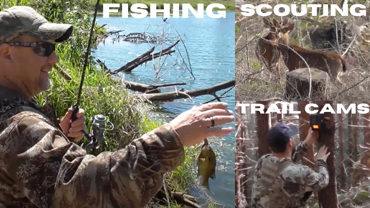 Fishing secrect Lake/Pond & setting up Trailcam/Scouting for Deer & Elk ...