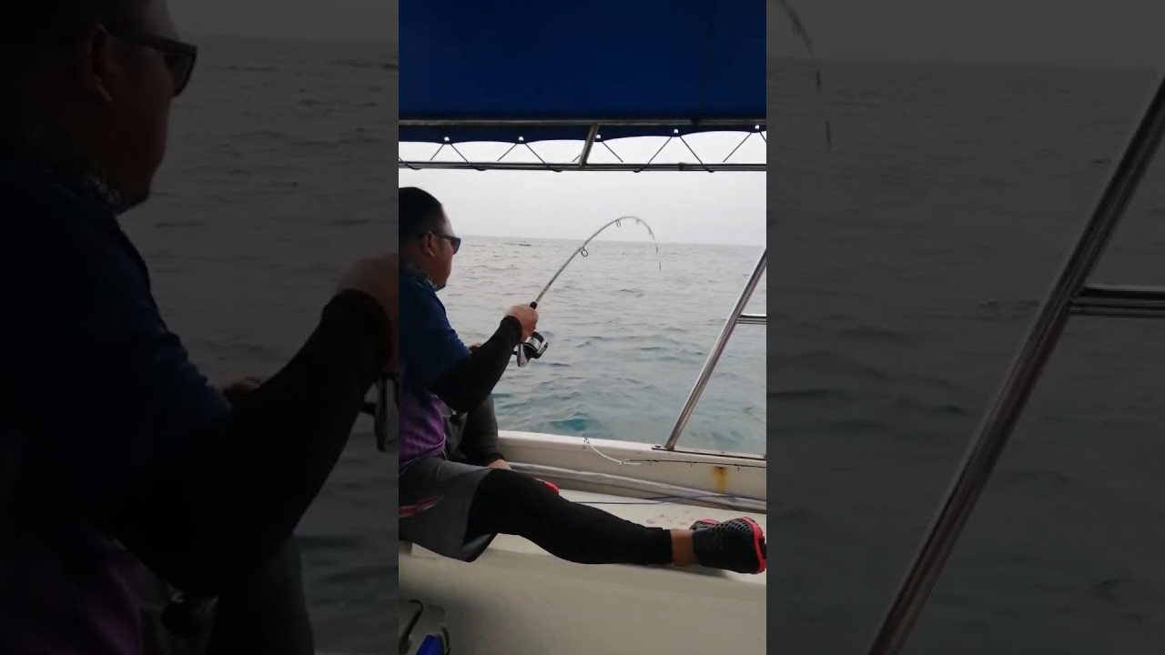 Mancing apollo di pulau tioman - YouTube