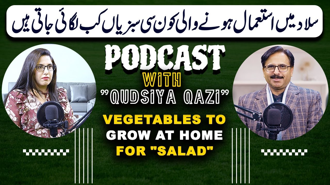 Vegetables to grow at home for Salad | Podcast with Qudsiya Qazi ...