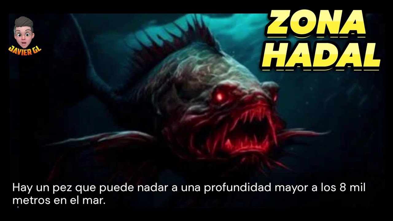 Qué hay en la zona hadal, el “lugar de la muerte” a mayor profundidad ...