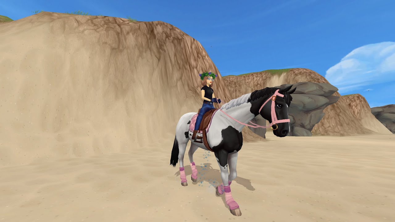 {SSO} Achat du trakehner!!! - YouTube